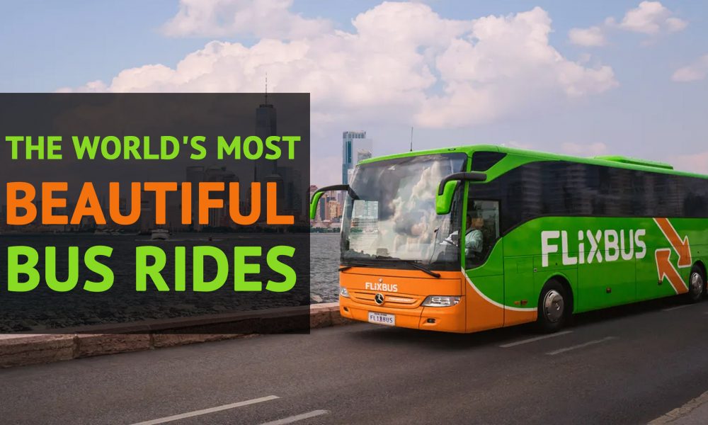 FlixBus Review : Discover the Smart Choice in Intercity Bus Travel ...